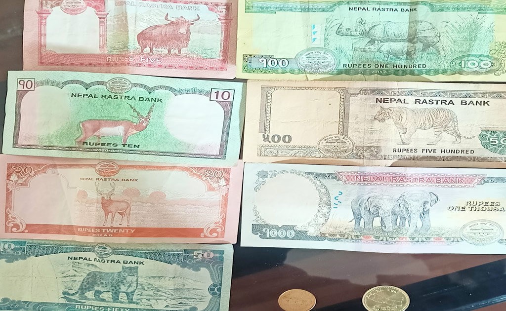 Currency and Payment Methods